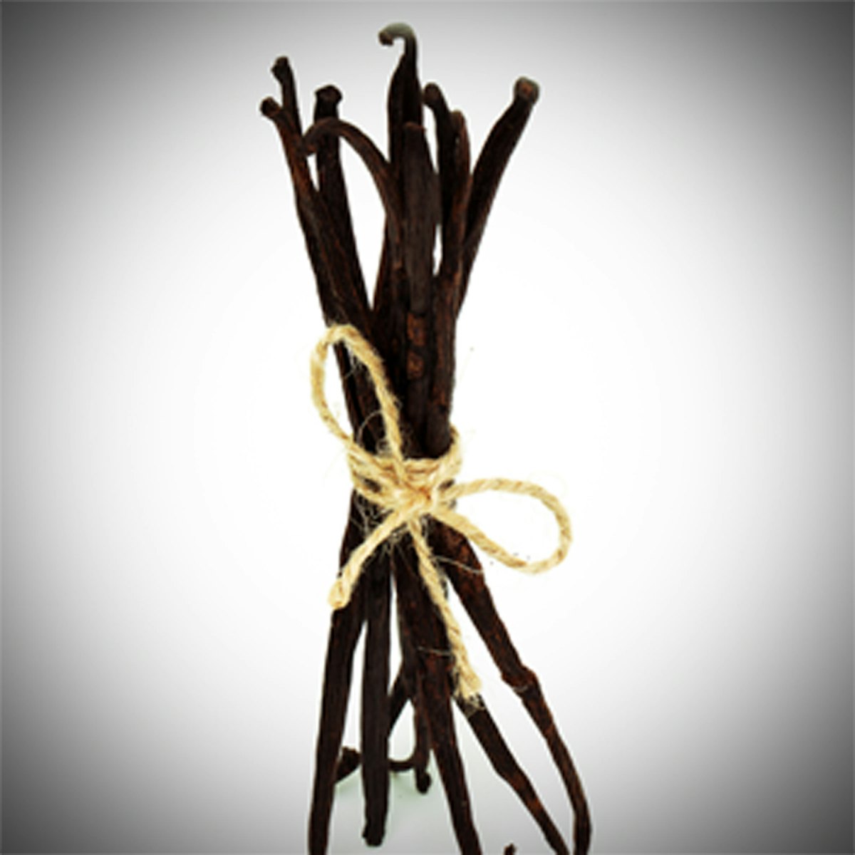 Solvay Celebrates 25 Years of American Vanillin | Perfumer & Flavorist