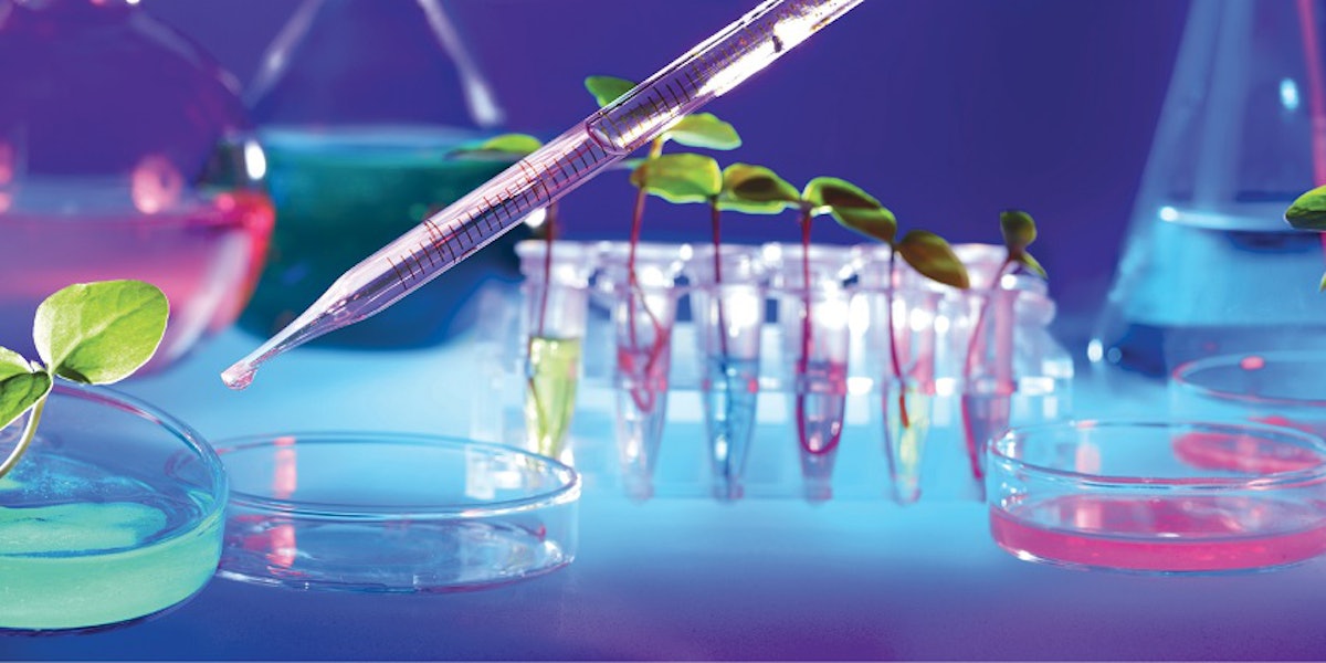 Vertically Assessing Value-Added Ingredients in the F&F Industry ...