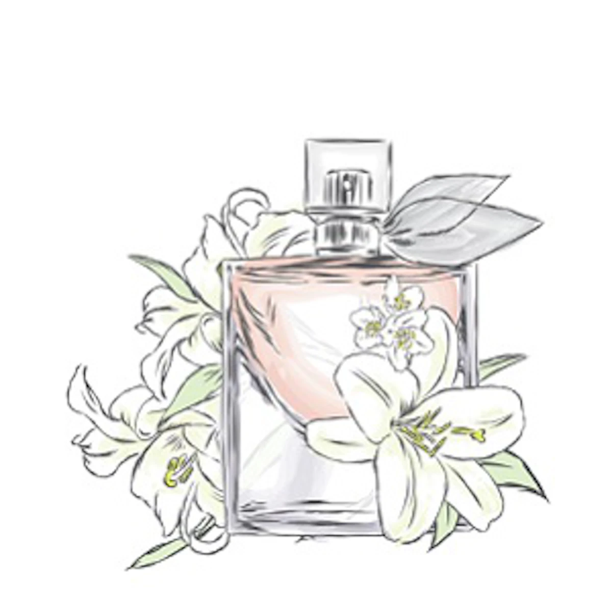 Portrait of a Perfumer: Maurice Roucel’s Signature in Fragrance ...