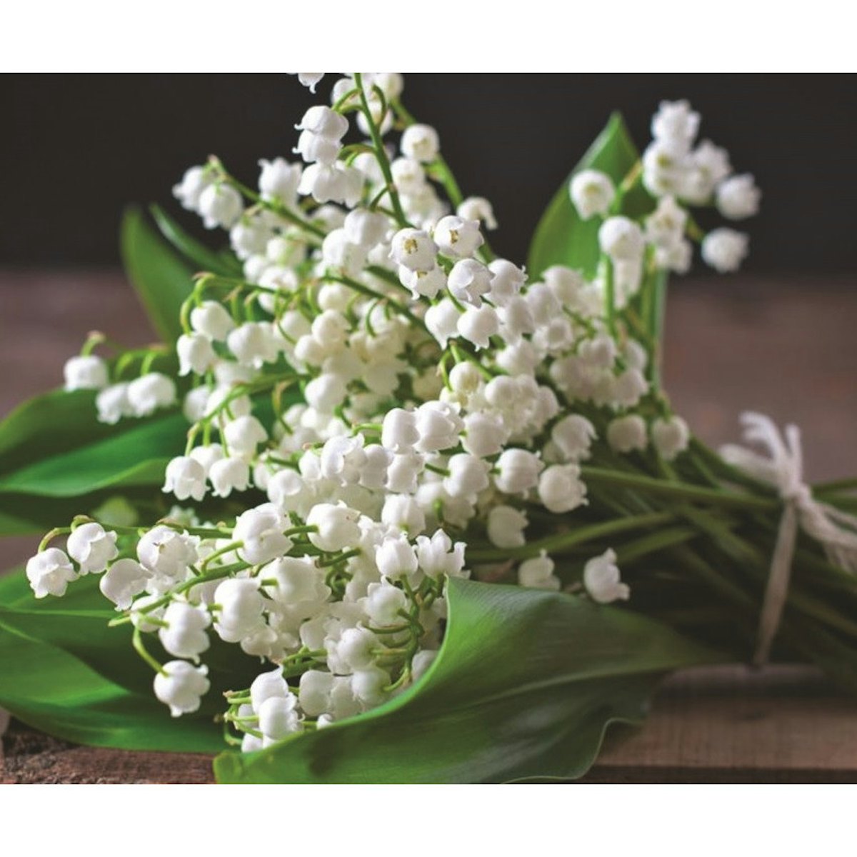 April 2018 Product Roundup: Florals | Perfumer & Flavorist