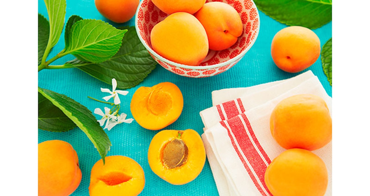 EU Natural Pyrazines from Fermentation | Perfumer & Flavorist