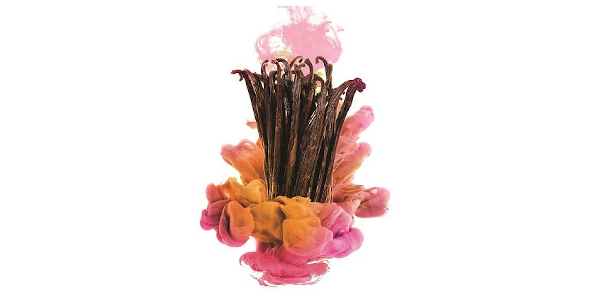 Fresh Vanilla Scents With Mane's Vanilla Pure Jungle Essence | Perfumer ...