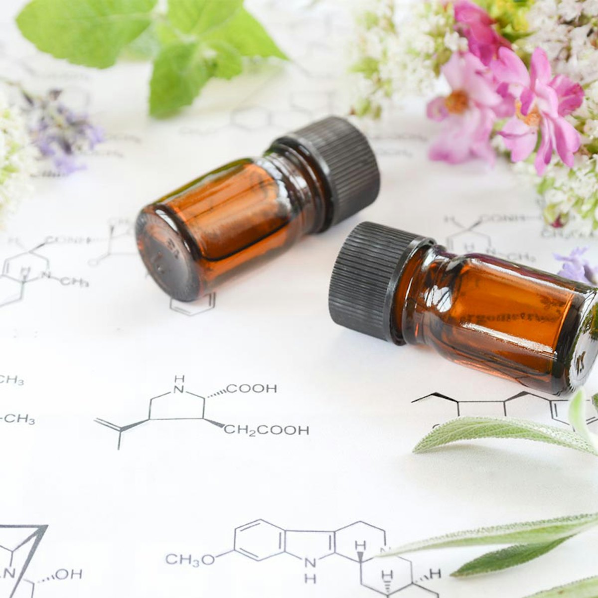 EFEO Meeting Explores the Future of Naturals | Perfumer & Flavorist