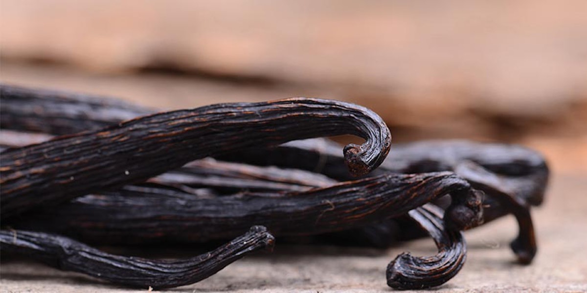 A Major Stake for the Future: Authenticating Vanilla With DNA ...