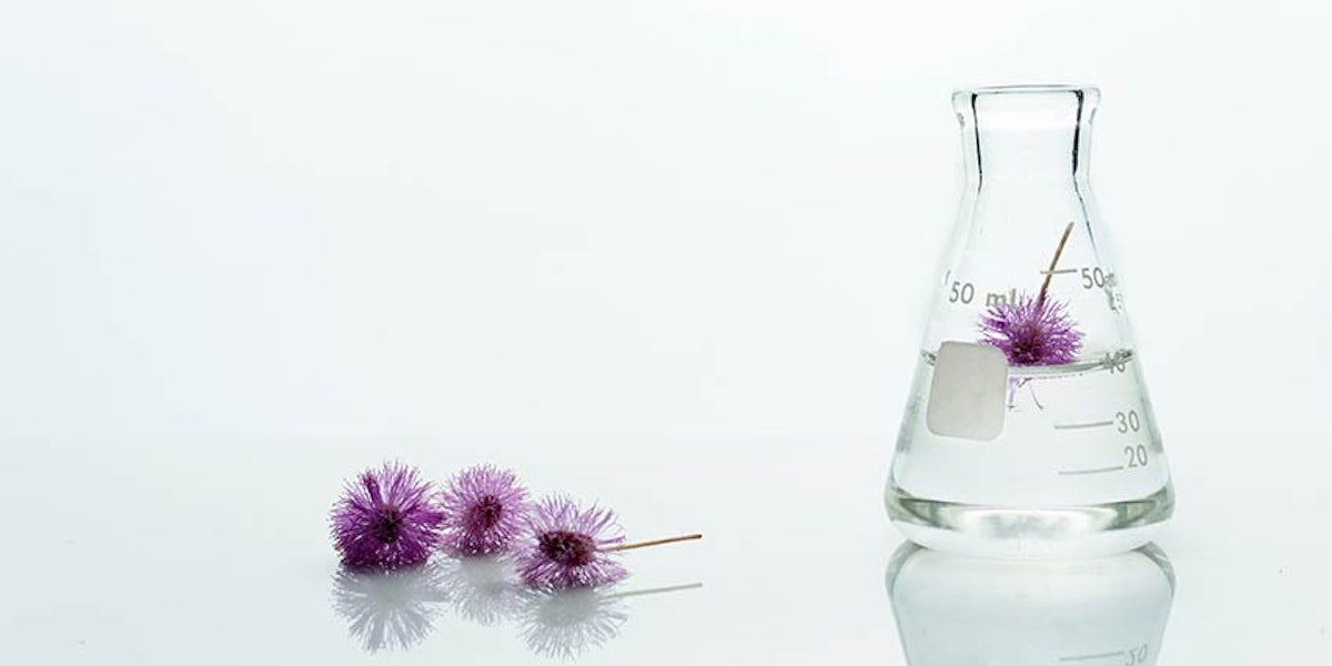 Givaudan Applies Biotech to Ambrofix Ingredient | Perfumer & Flavorist