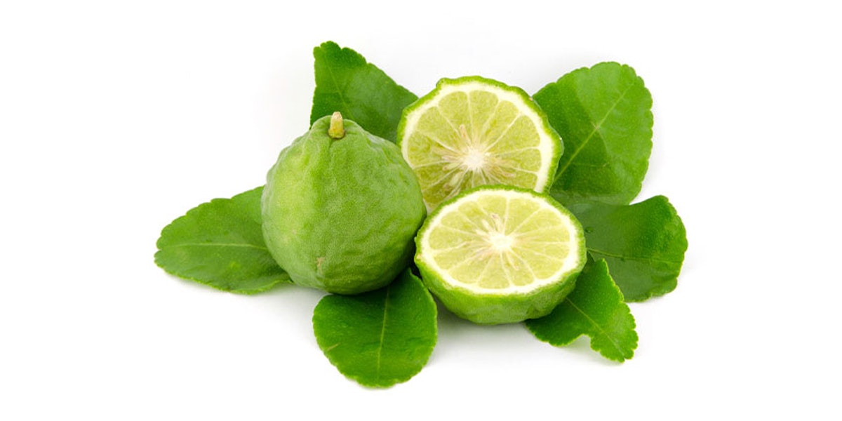 Isobionics' Natural trans-alpha-Bergamotene 80% | Perfumer & Flavorist