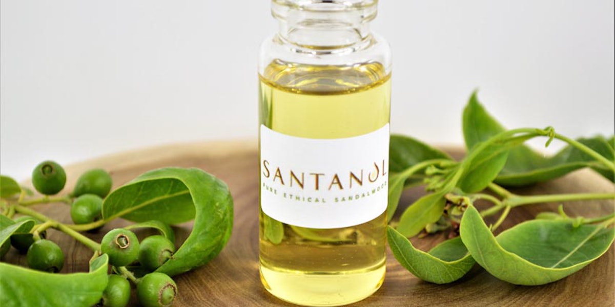 Santanol Names Regional Sales Executive Asia | Perfumer & Flavorist