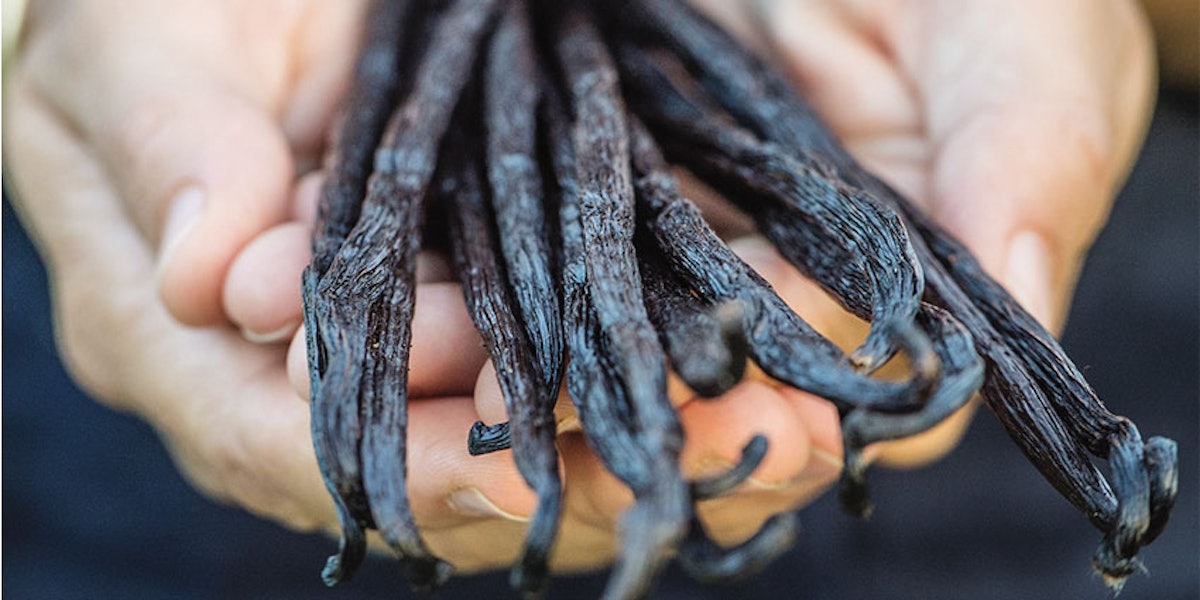 Mane's Organic vanilla pure jungle essence | Perfumer & Flavorist