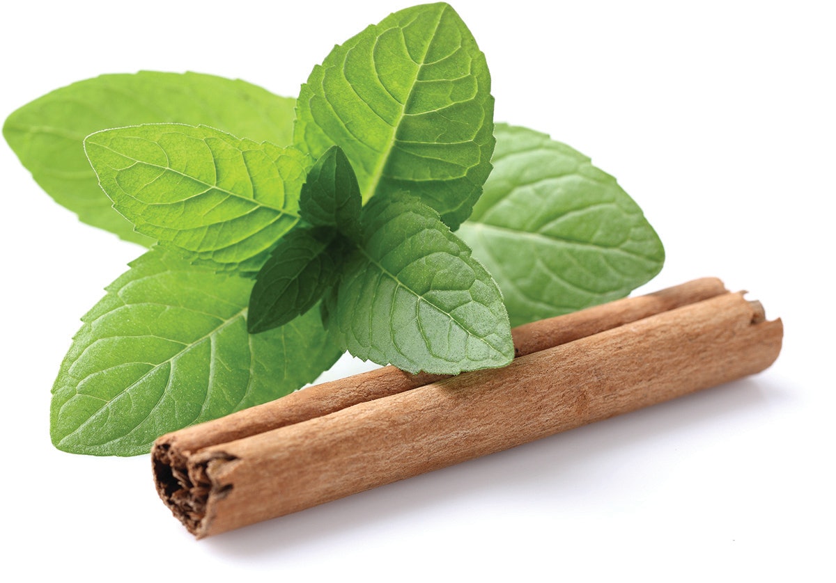 MilliporeSigma's L-Menthone, mixture of isomers, natural, ≥96%, FG ...