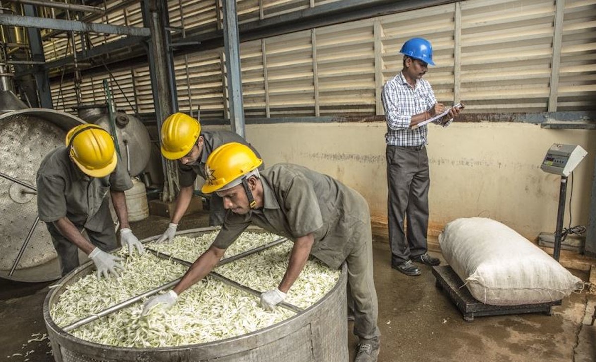 LMR Naturals by IFF Natural Ingredients Carbon Footprint Evaluation ...