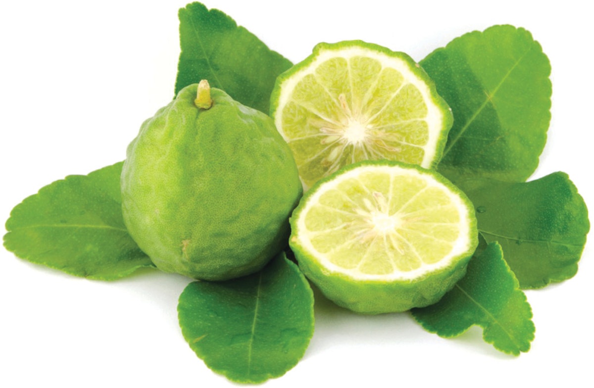 Isobionics' Natural trans-α-Bergamotene 80 | Perfumer & Flavorist