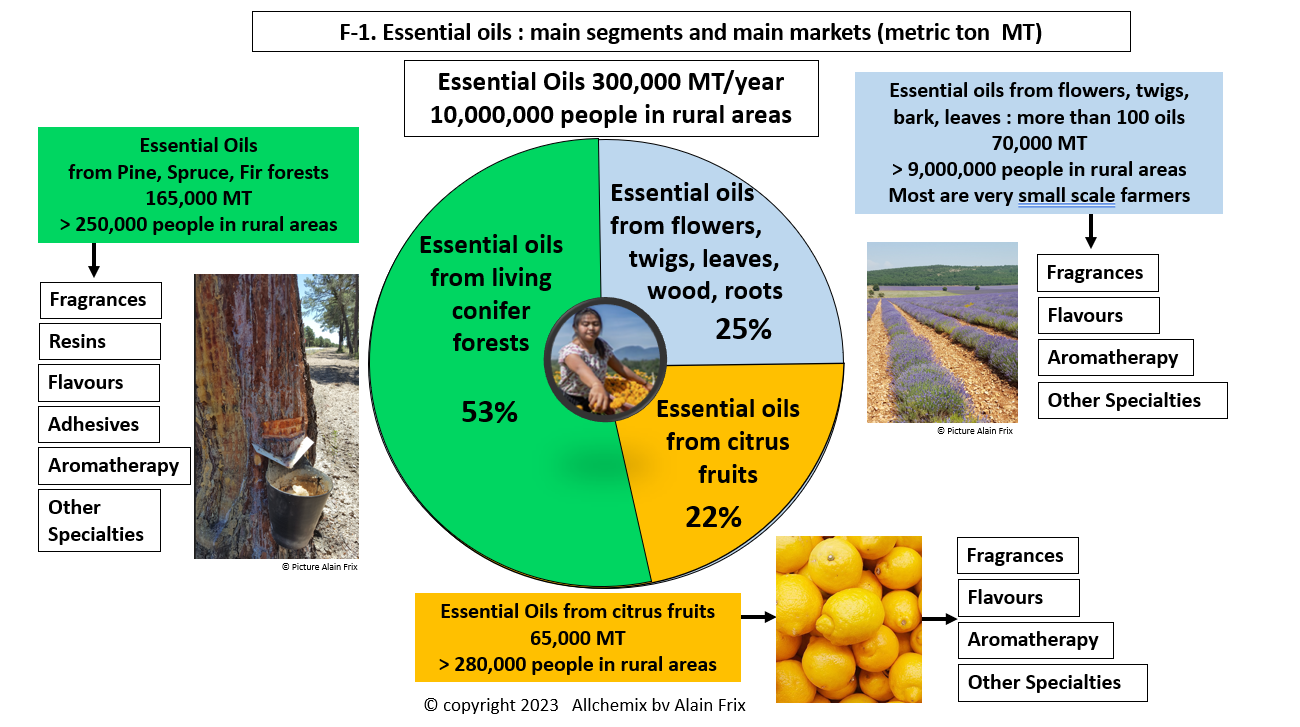 Alain Frix Discusses Threat to Essential Oils Industry Due to EU Green ...