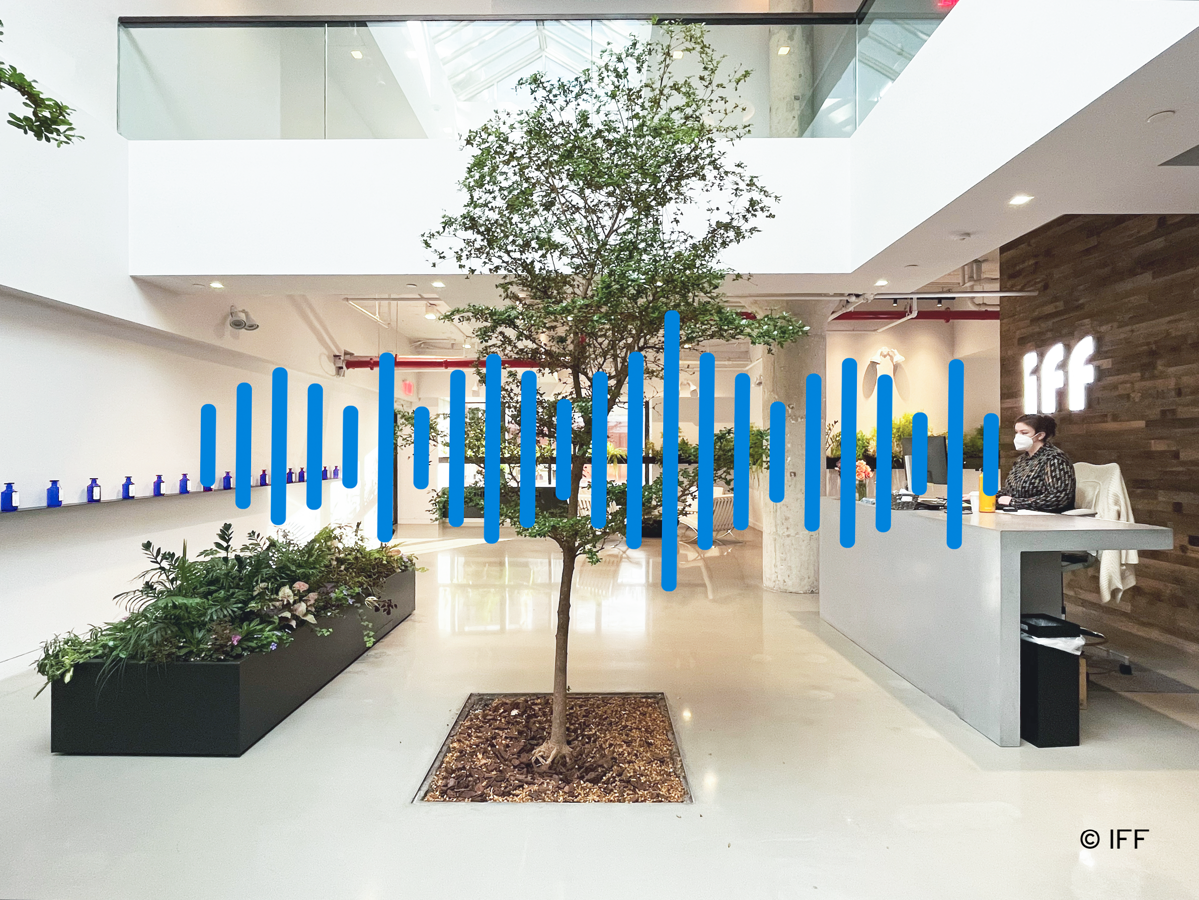 IFF Launches Sound Logo to Illustrate Multi-sensory Dimensions of Scent ...