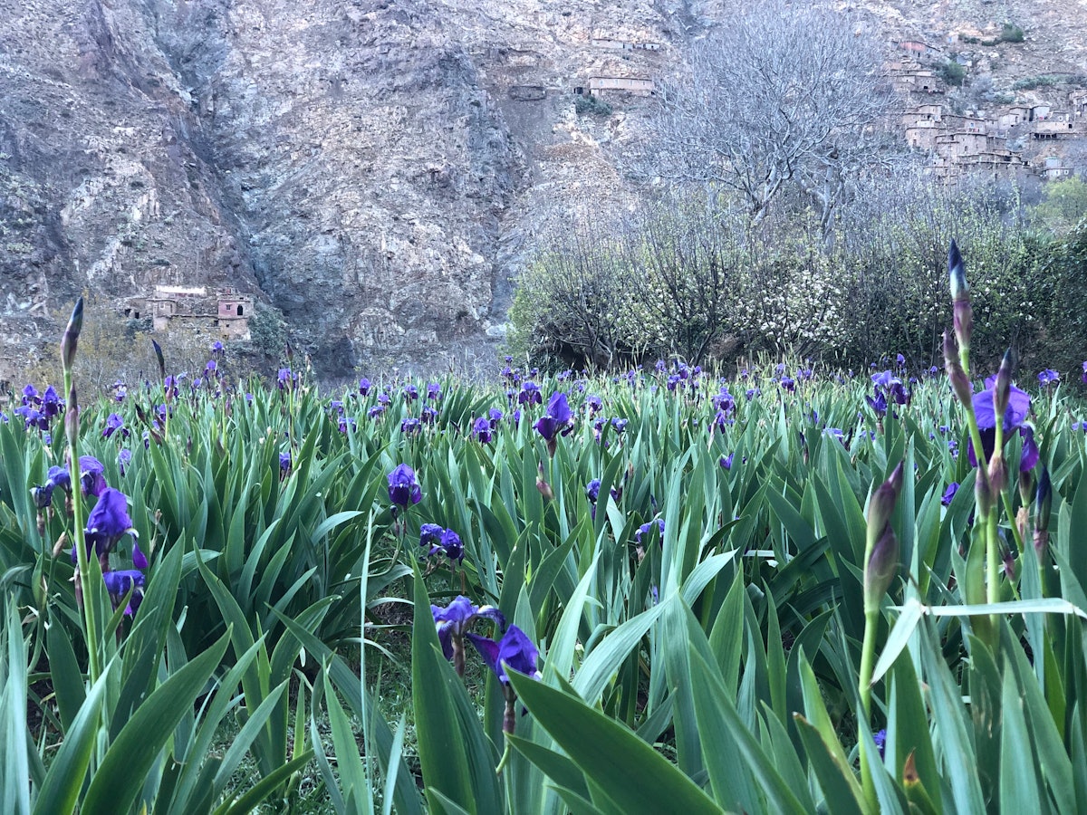 Givaudan Awarded Fifth Consecutive CDP Double 'A' on Climate Action and Water Security ...