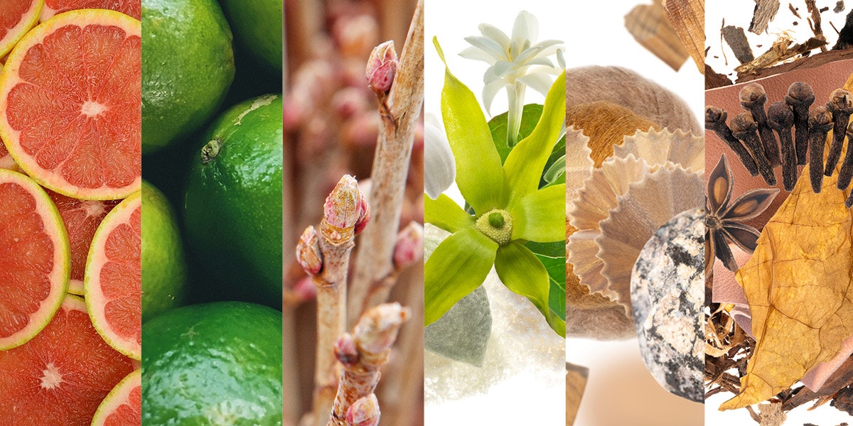 The Art of Ingredients by IFF and LMR Naturals | Perfumer & Flavorist