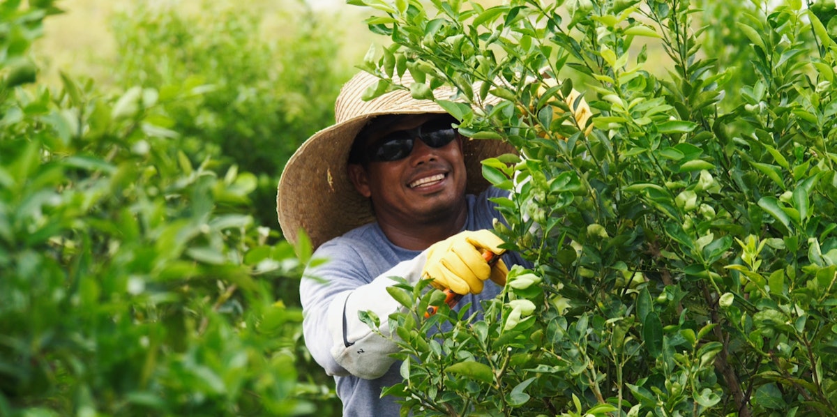 Cosmo International Fragrances Celebrates “Latina Souls” of Latin ...