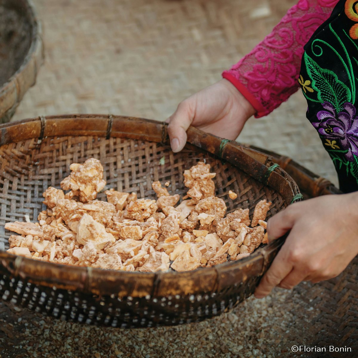 MANE's Benzoin Siam Pure Jungle Essence™ | Perfumer & Flavorist