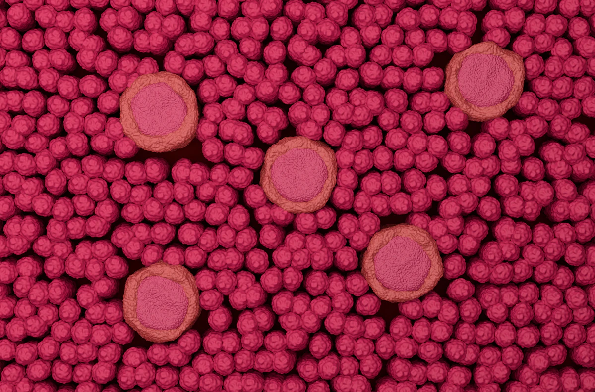 Study: Sweet–bitter Taste Interactions in Binary Mixtures of Sweeteners ...