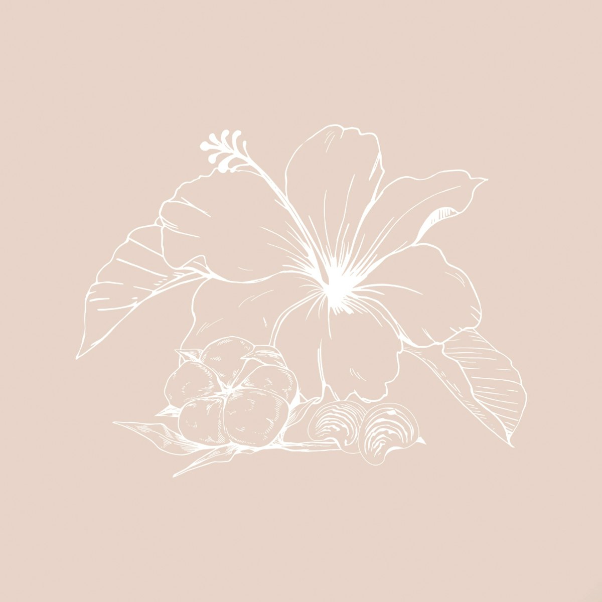 Mane's Sublimolide | Perfumer & Flavorist