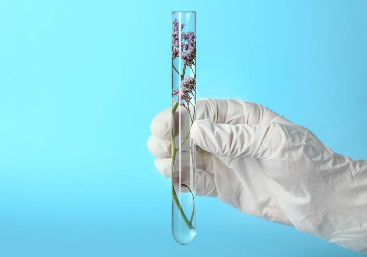 RIFM Published Peer-reviewed Safety Assessments Covering 2,000 ...