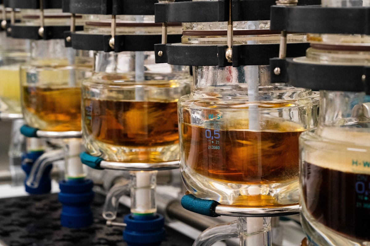 Bringing A New Era of Taste & Flavor to Plant-based Foods with Yeast ...