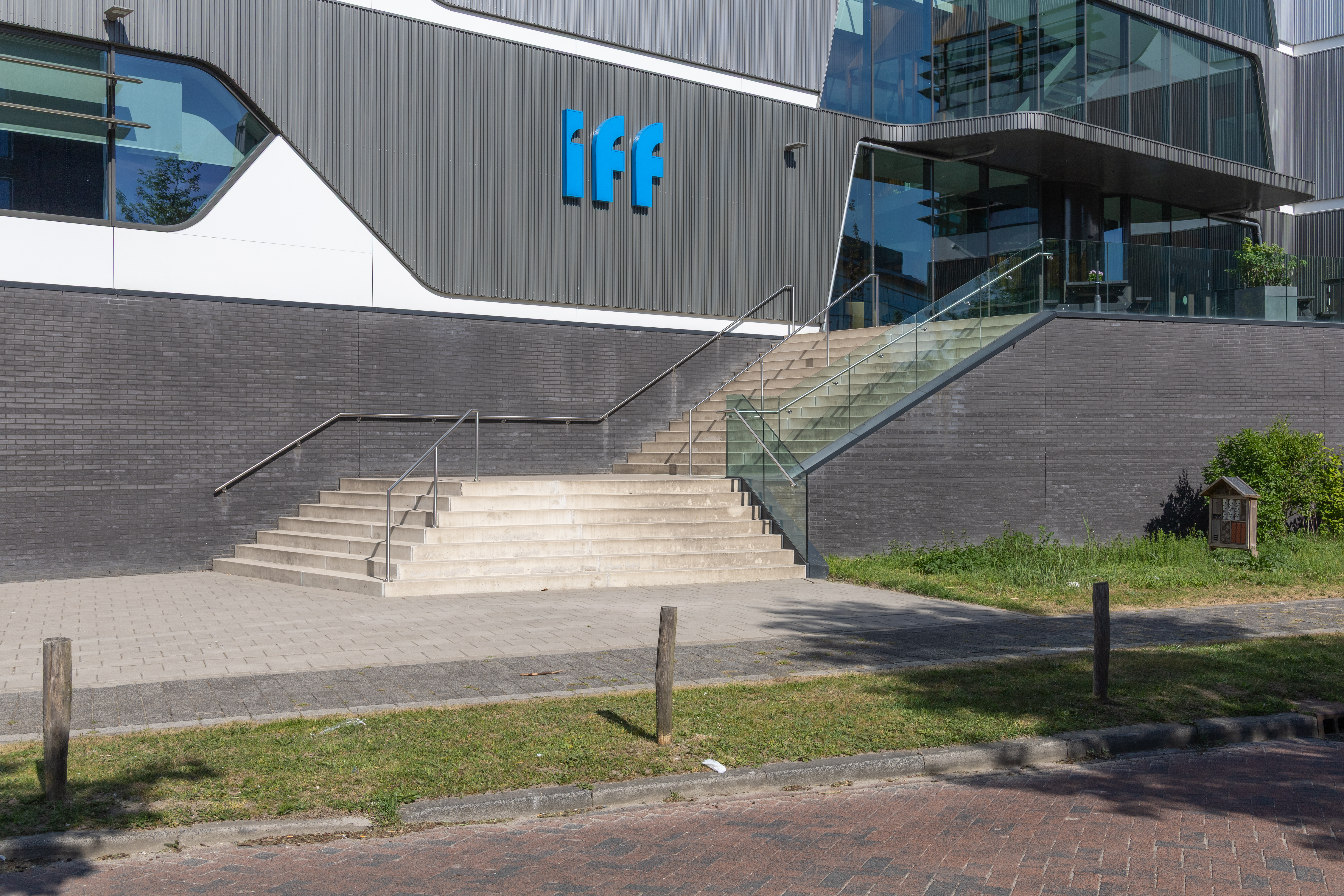 IFF's 2025 Wrap-Up: Tighter Focus, Stronger Margins and a Major ...
